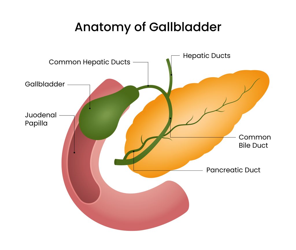 Understanding Gallbladder Cancer: Symptoms, Causes, Diagnosis, and ...