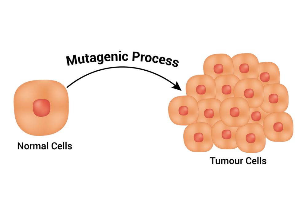 Benign vs. Malignant Tumours: Key Differences Explained